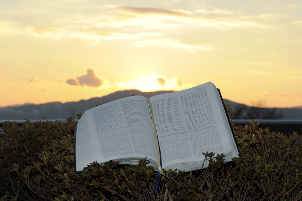 What We Believe - Above & Beyond Deliverance Academy